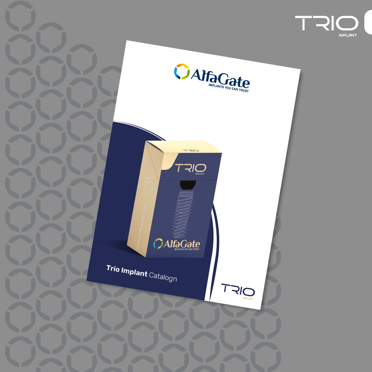Catalogs – Alfa Gate